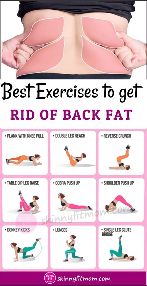 Fitness Workouts Gym Workout Tips Fitness Workout For Women Easy Workouts Fitness Men
