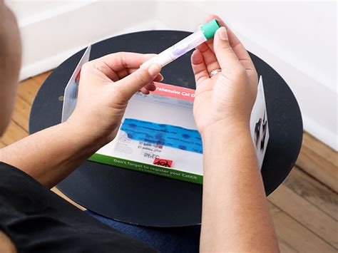 Basepaws Breed Health Dna Test At Home Cat Genetics Test Stacksocial