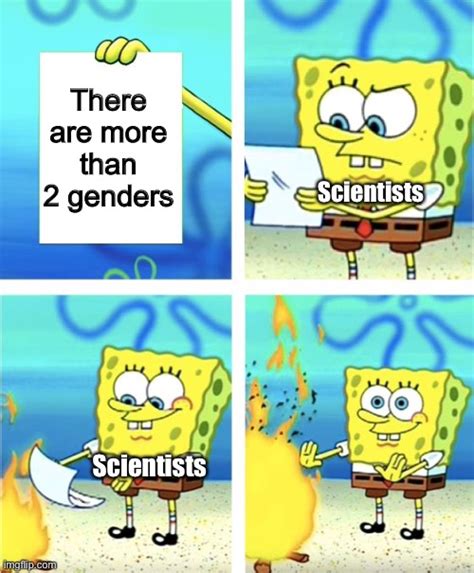 Memes Imgflip