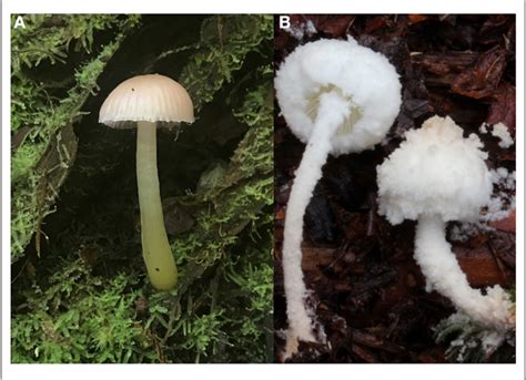 Figure 1 From Purdue E Pubs Purdue E Pubs Semantic Scholar