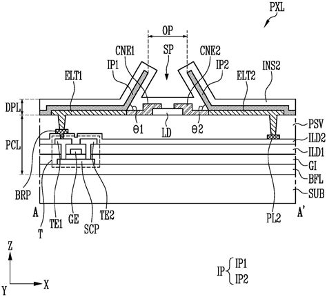 显示装置及其制造方法与流程