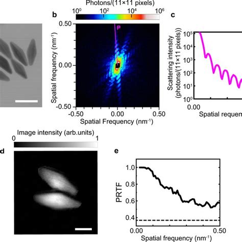 Single Shot Coherent X Ray Diffraction Cxd Pattern And Image