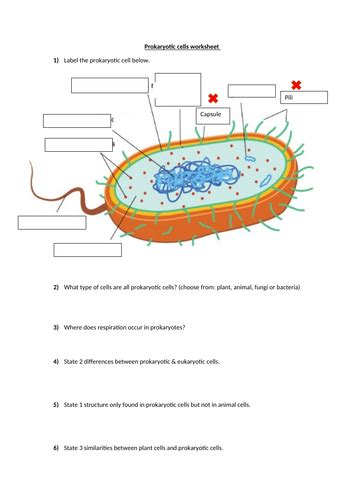 Eukaryotic And Prokaryotic Cells Gcse Teaching Resources