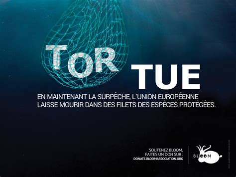 Projet Comme Un Poison Dans L Eau Par Alexandra Puchnaty
