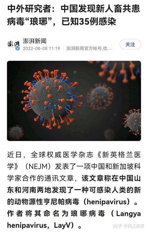 这1100万人的声音应该被听到 知乎