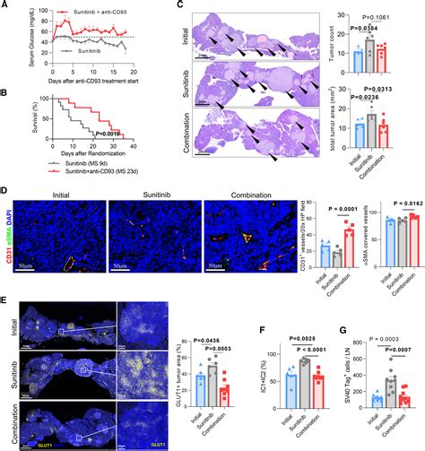 Cd93 Blockade Overcomes Sunitinib Resistance In Pancreatic