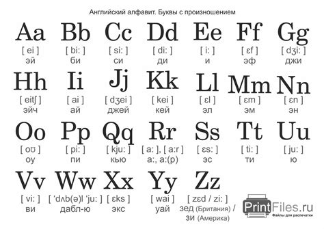 Polish Alphabet Chart Poland Language Chart White Poster By Typelab