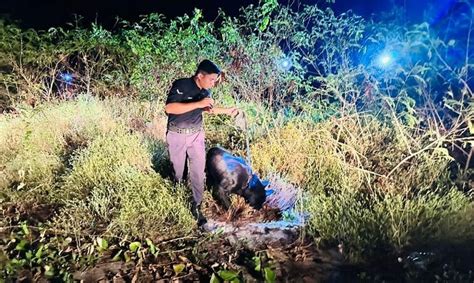 Human Skull Bone Fragment Found At Abandoned Ferris Wheel Site In Melaka The New Paper Human Skull Bone Fragment Found At Abandoned Ferris Wheel Site In Melaka The New Paper