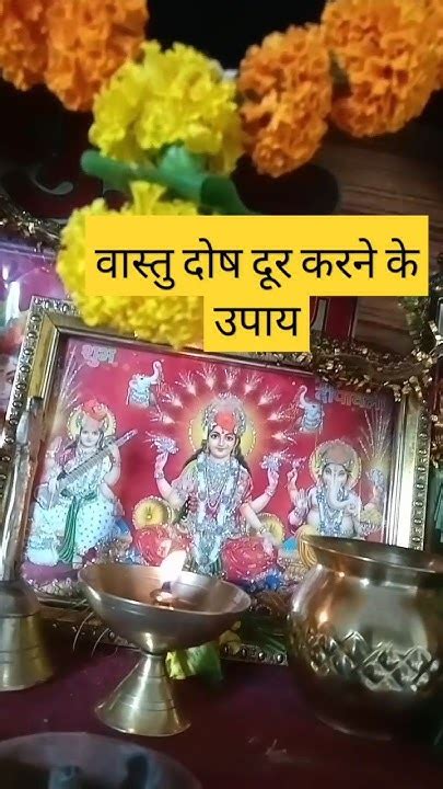 ॐ गौ माता जिस जगह खड़ी रहती है उस जगह का मिट्टी लेकरवास्तु दोष