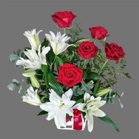 Cutie Tatiana • Floraria Magic Flowers