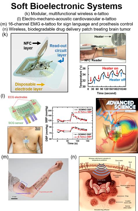 Soft Bioelectronics Systems Lu Research Group