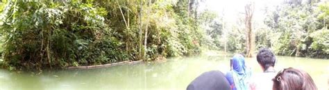Menjelejahi Embung Baboy Amazon Ala Situjuah InfoSumbar