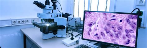 TalkingPoint Automation Supports Digital Pathology AI Triage Hospital