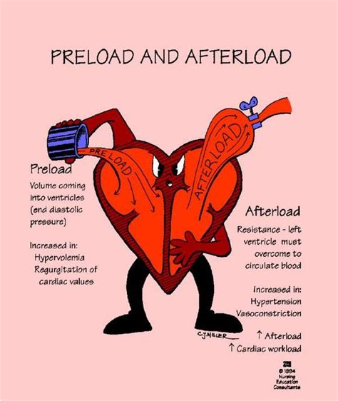 Preload And Afterload Nursing Pneumonics Nursing School Memes Medical