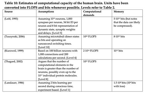 brain performance in flops ai impacts