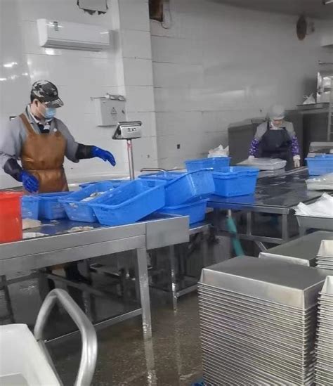 Processing Of Frozen Squid Fillet With Head Fwhsquid