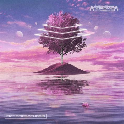 Andromida Metempsychosis Lyrics Genius Lyrics