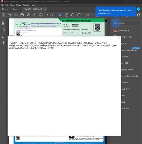 Blank Pop Up Screen After Launching Acrobat Pro Dc Adobe Community