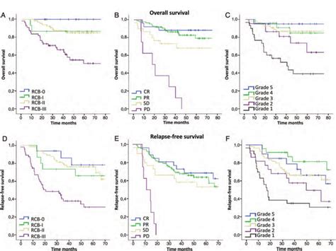 Correlation Between Response To Neoadjuvant Chemotherapy And Survival