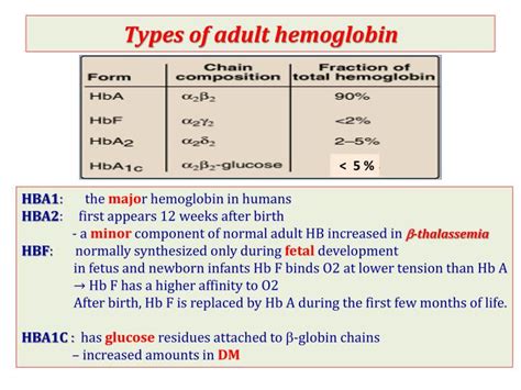 Ppt Hemoglobin Structure And Function Powerpoint Presentation Id5686891