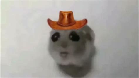 стоять хомяк🐹 Youtube