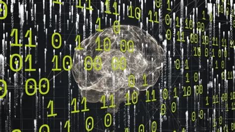 Animation Of Binary Code And Brain On Bl Stock Video Pond