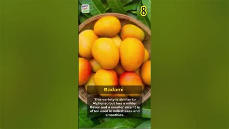 Indea Ke Top 10 Mengos Shortsvideo Newfects Ytcvideo Comedyvideo