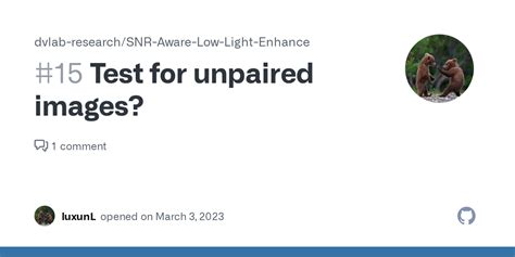 Test For Unpaired Images · Issue 15 · Dvlab Researchsnr Aware Low