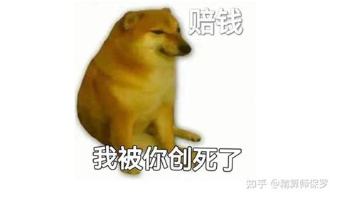 2分钟看懂座位险有必要买吗和驾乘险有什么区别 知乎