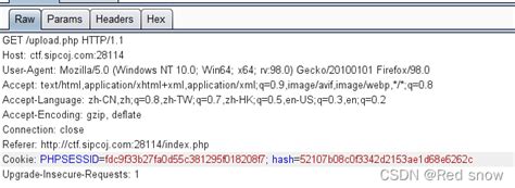 [bytectf 2019]ezcms 详解（hash长度扩展攻击 phar反序列化） csdn博客