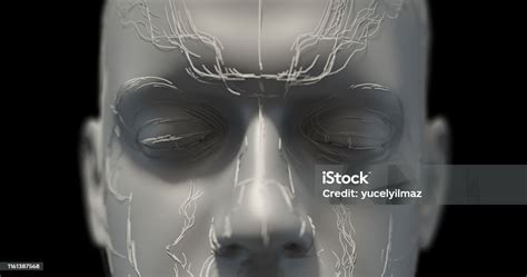 미래 지향적 인 바이오 닉 로봇 얼굴 3d 일러스트 렌더 3차원 형태에 대한 스톡 사진 및 기타 이미지 3차원 형태 4k해상도 가상현실 Istock