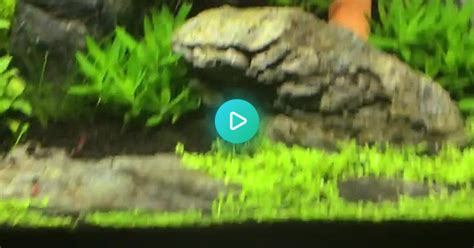 I Fluval Flex Filter Set Up Album On Imgur