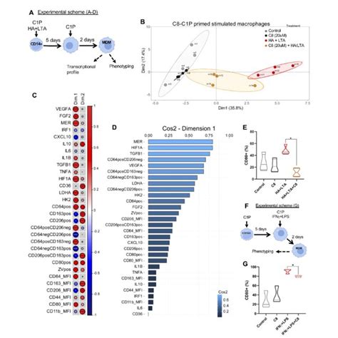 C1p Modulated Pro Inflammatory Molecules And Soluble Mediators In