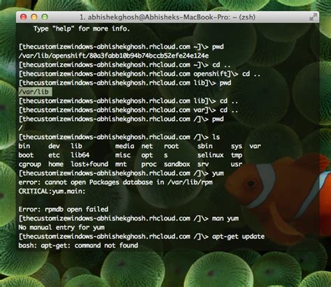 shell access on openshift