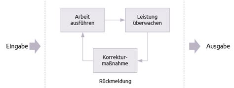 Kybernetische Kontrolle Praxis Framework