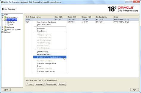 Create Acfs File System Exadata At Hudson Facy Blog