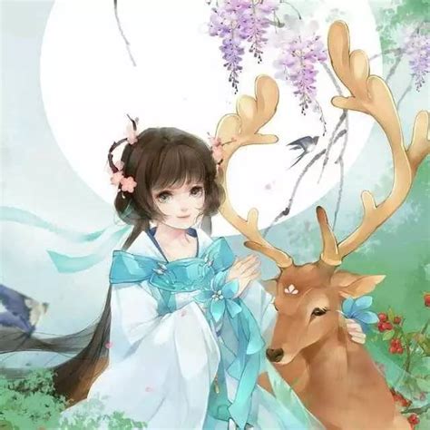 林深时见鹿头像林深时见鹿图片森林鹿头像大山谷图库