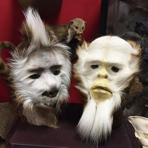 What Taxidermists Do With Deer Butts Others
