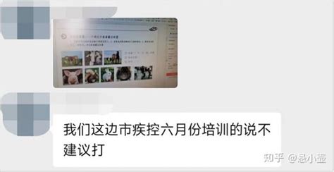 鼠、兔咬伤后要打狂犬疫苗？医生们说法咋不一样？ 知乎