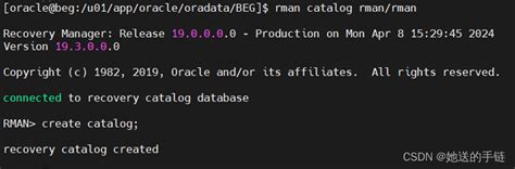 单例19c Rman数据迁移方案oracle Rman迁移数据库 Csdn博客 单例19c Rman数据迁移方案oracle Rman迁移数据库 Csdn博客