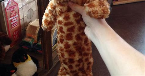 Reverse Giraffe Imgur
