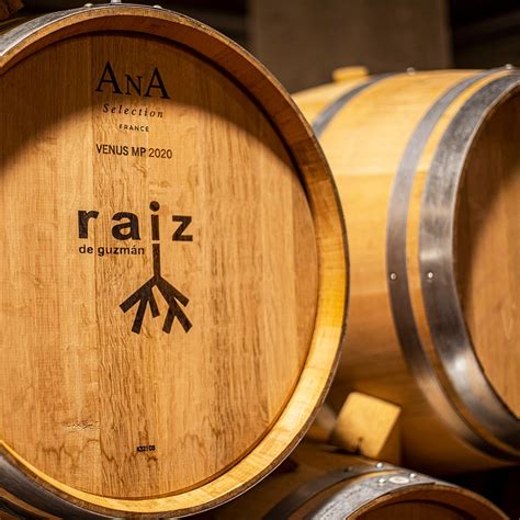 Bodegas Raíz de Guzmán en Burgos Vinos D O Ribera del Duero