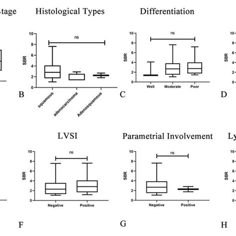 Primary Surgical Margin Invasion Evaluation With Nirf Imaging In