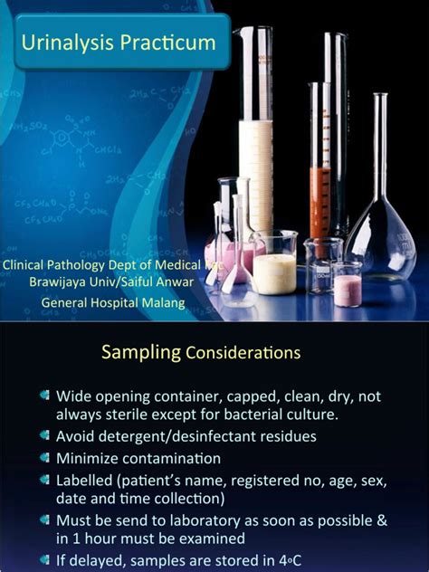 Pk Urine Practicum 1 Kbk Sem 6 2016 Manual Pdf Urine Buffer Solution