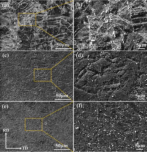 Sem Micrographs Showing The Evolution Of Microstructure During Hot Download Scientific Diagram