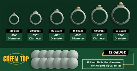 12 Gauge Vs 20 Gauge Which Shotgun Is Right For You