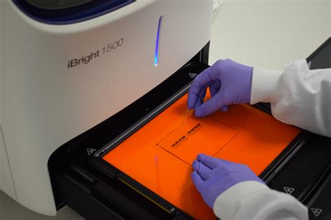 Precision Fermentation Technology Levprot Bioscience