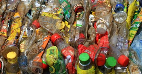Científicos Japoneses Descubrieron Una Bacteria Que Se Come El