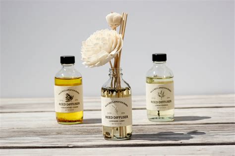 Reed Diffuser With Rattan Reeds And Sola Flowers Cassidy Station