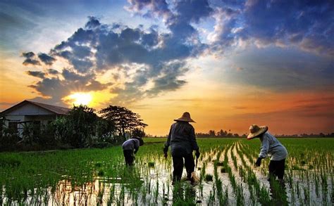 Pekebun Getah Nelayan Dan Pesawah Nikmati Bantuan Khas Aidilfitri
